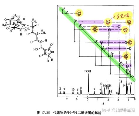 核磁共振谱图的一维、二维（氢谱、碳谱）解析 科学指南针 知乎