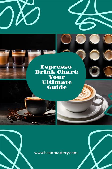 Espresso Drink Chart Your Ultimate Guide In 2024 Espresso Drinks
