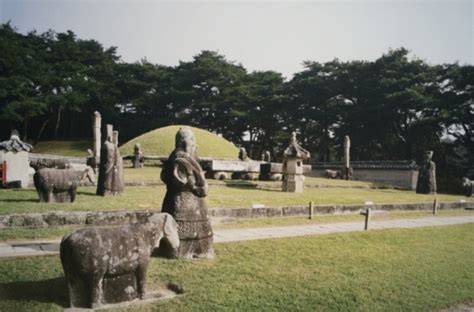 묘지관리 산소관리 풍수지리 묘지산소관리 잘하는법 비용절감 구미 김천 상주 멧돼지퇴치 네이버 블로그