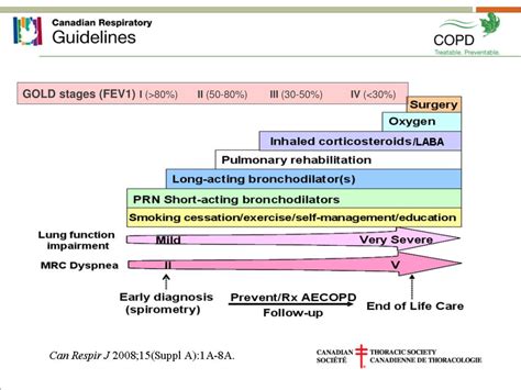 Ppt Practice Support Program In Copd South Okanagan Project Copd Care Algorithm Powerpoint