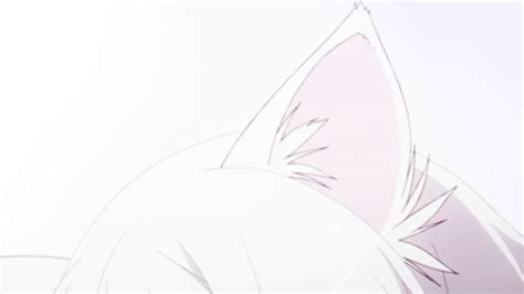 Meoww Cat Ears  Aesthetic Anime Cat  Anime Cat  Banner
