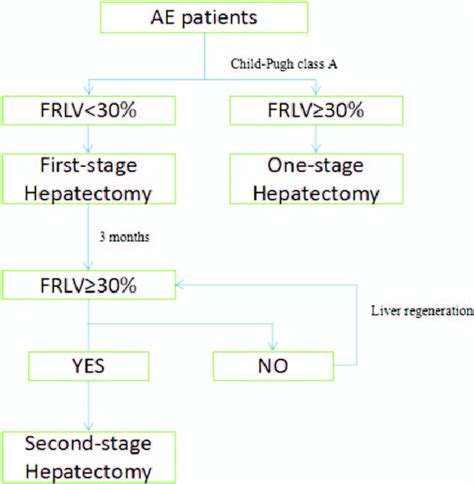A Flow Diagram Summarizing The Two Stage Hepatectomy Procedure Download Scientific Diagram