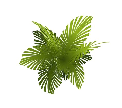 premium vector landscape element top view