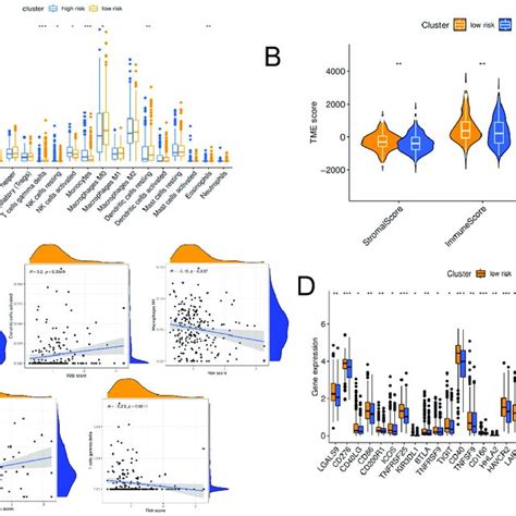 Immune Characteristic Analysis A Comparison Of Infiltrating Immune Download Scientific