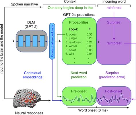 Shared Computational Principles Between The Brain And Autoregressive