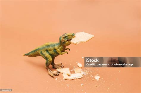 입에 비스킷을 물고 있는 티라노사우루스 렉스 갈색 배경에 그 주위에 부서진 비스킷 공룡에 대한 스톡 사진 및 기타 이미지