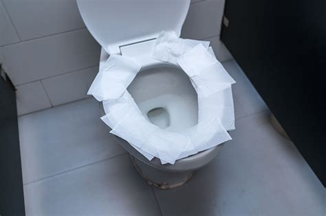 Once Youve Read This Youll Never Put Toilet Paper On The Toilet Seat