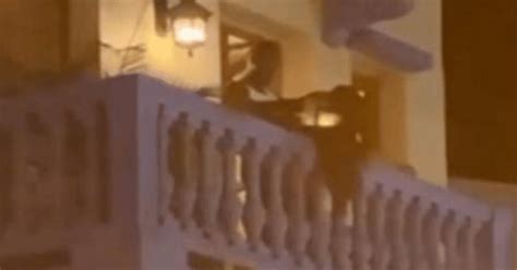 Cancelan Visa De Norteamericano Grabado Mientras Tenía Sexo En Un Balcón De Cartagena Infobae