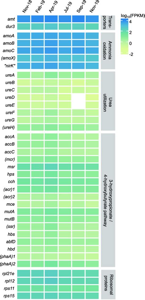 Seasonally Resolved Transcription Of Genes Involved In The Nitrogen And