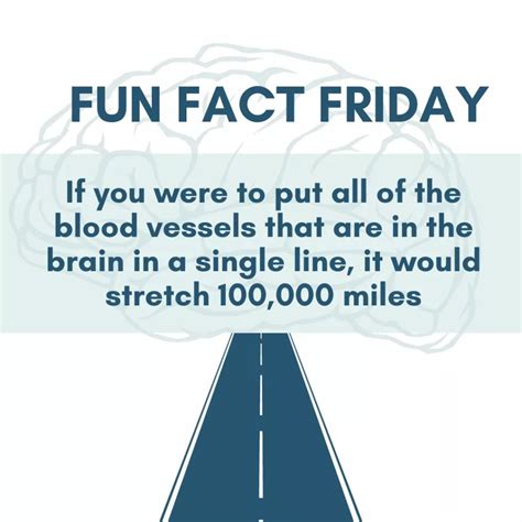Fun Fact Friday Blood Vessels New Jersey Pediatric Neuroscience