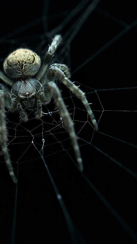 Charolettes Web Artofit