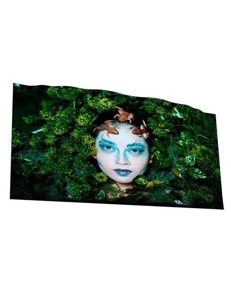 Curvart Curvo Mujer Tropical Ranas