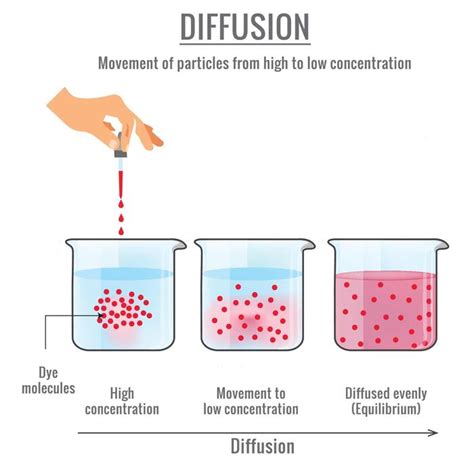 Diffusion Process Vector Art Icons And Graphics For Free Download