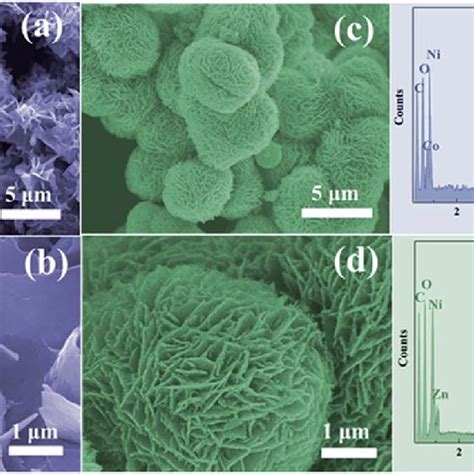 SEM Images Of The As Synthesized A And B Co Ni MOF And C And D