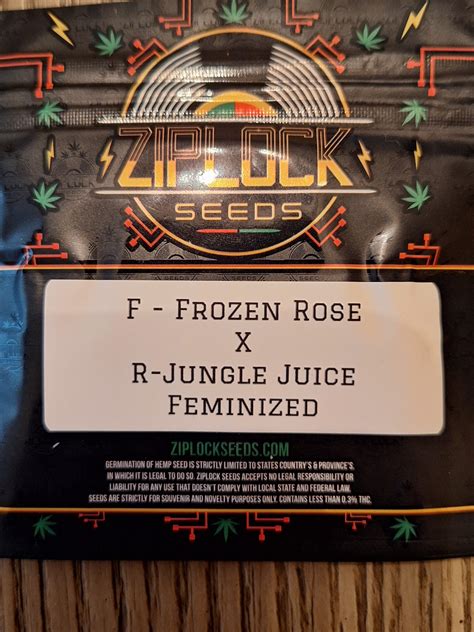 Frozen Rose X Jungle Juice 17 10ct Fems Chitown Seeds