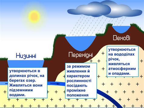 Подорож Гідросфера Станція 8 Як утворюються болота Які особливості