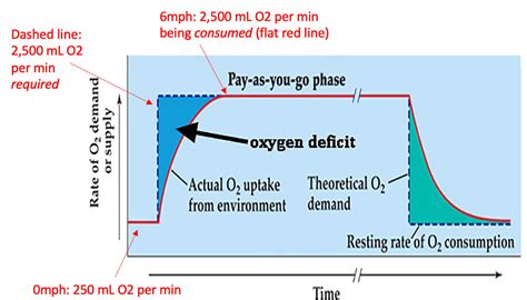 Minimizing The Oxygen Deficit By Sean Langan