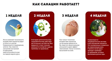 Капсулы Санацин от паразитов отзывы цена развод или нет