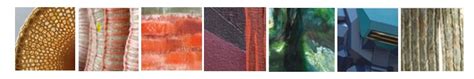 Indexical Exhibition Of Visual Art Whats On Love Bognor Regis