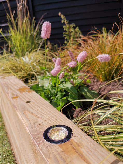 A Sneek Peak Of A Garden David L Goodman Horticulture Facebook