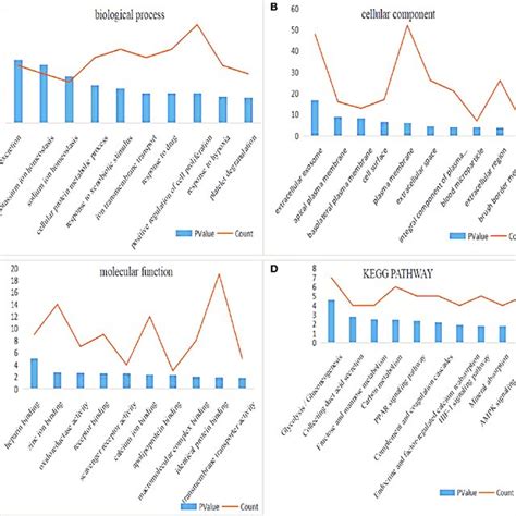 Go And Kegg Pathway Enrichment Analysis Of Degs A The Biological