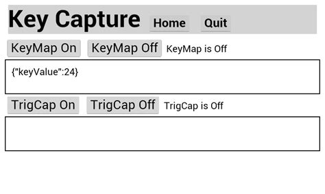 KeyCapture API Tutorial Zebra Technologies TechDocs