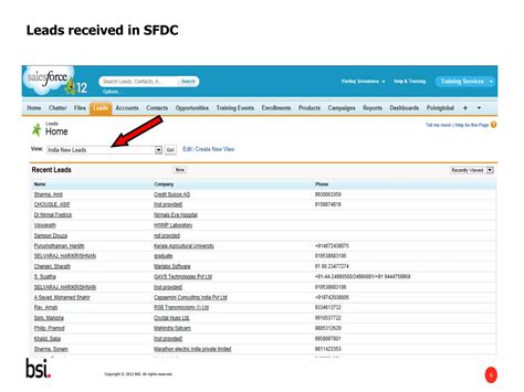 Lead Management Using Sfdc Ppt