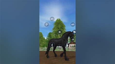 Memmory Reboot Youtube