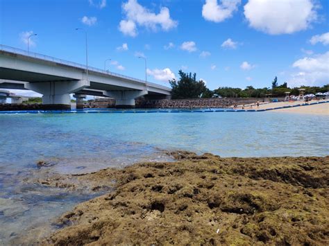 2025波上宫游玩攻略算比较有影响的太阳神神社【去哪儿攻略】