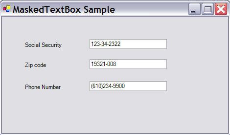 Windows Forms Maskedtextbox Control