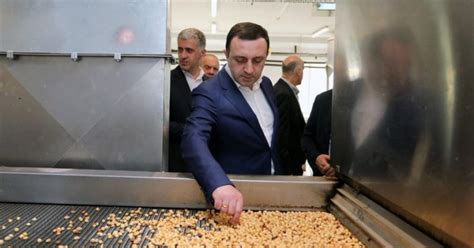 “ვიწყებთ თხილის მოყვანისთვის საჭირო საქონლის სუბსიდირებას…20 მლნ ს გამოვყოფთ” ღარიბაშვილი