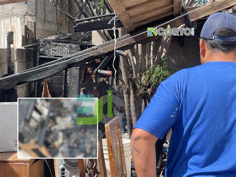 Incendio En Jacal Acaba Con La Vida De Varios Cachorros Encorto News