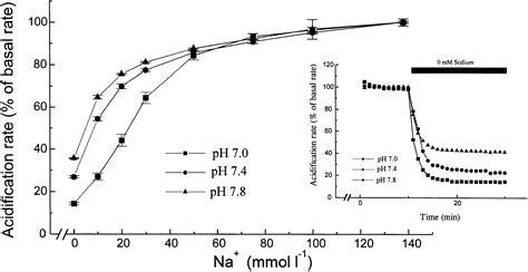 Ph Dependent Proton Secretion In Cultured Swim Bladder Gas Gland Cells American Journal Of