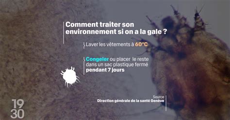 Understanding And Managing Scabies Outbreaks In Elderly Care Facilities Importance Of