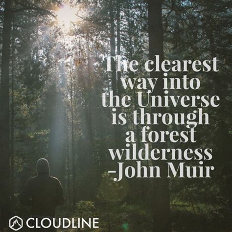 Wilderness John Muir Quotes