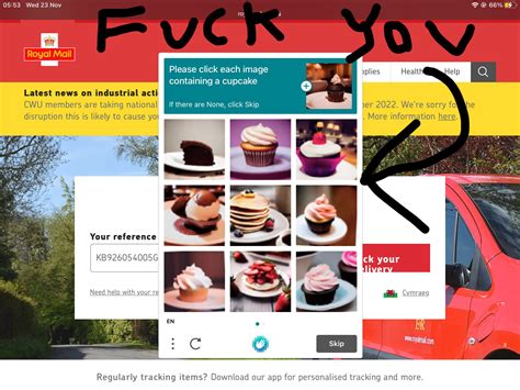 If I Have To Do One More Goddamn Captcha I Will Mail A Body And Hope It