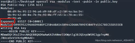 【i春秋 第二届春秋欢乐赛】crypto 密码学 Rsa256rsa256 Messageencrypted Csdn博客