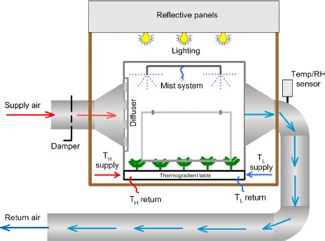 Propagation Chamber Download Scientific Diagram