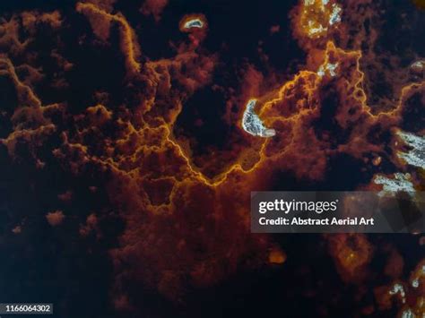 Extremophile Bacteria Fotografias E Filmes Do Acervo Getty Images