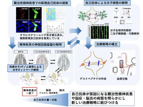 テニュアトラック教員採用者 東京科学大学 若手研究者支援センター（yisc）