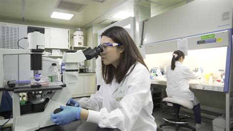 Strategies And Tactics For Success In Biologics Analytical Testing