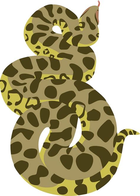 Images De Serpent Python Captivite Téléchargement Gratuit Sur Freepik