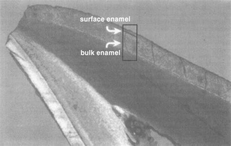 Elemental Analysis To Obtain Bulk Data The Outer Square Corresponds To