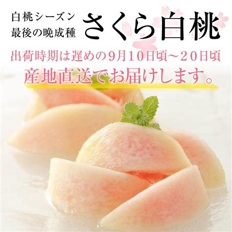 桃 もも モモ 白桃 福島県産 さくら白桃 秀品 約2kg約6〜8玉【送料無料】 福島産 夏ギフト ご贈答 プレゼント 旨幸 通販