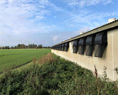 New Fly Screen Reduces Infection Risk