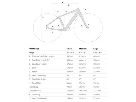 Aventon Pace 250 Electric Bike In Black