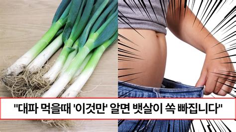 대파 이렇게 드세요” 내장지방이 녹아 뱃살이 쏙 빠질수 있는 다이어트 방법 뉴스위크