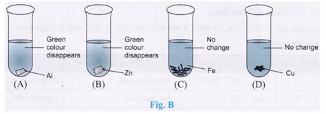reactivity series experiment class 10 practical science ncert cbse tuts