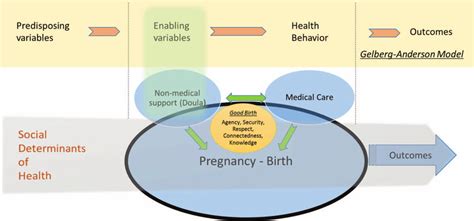 Conceptual Model Of The Pathways Between Social Determinants Of Health Download Scientific