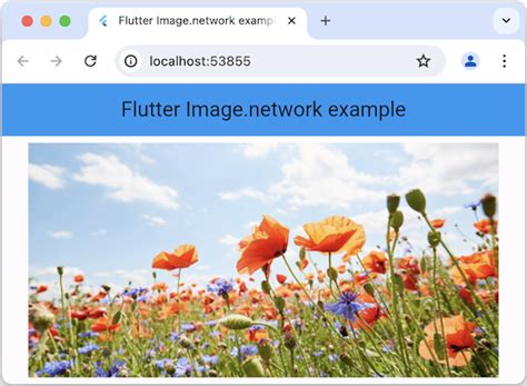 Hiển thị hình ảnh trên Internet trong Flutter openplanning net